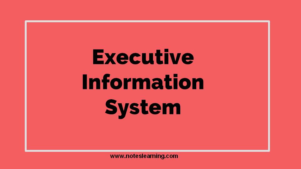 Executive Information System [PPT] - Notes Learning