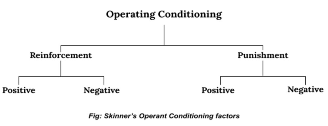 Reinforcement Theory of Motivation - Notes Learning